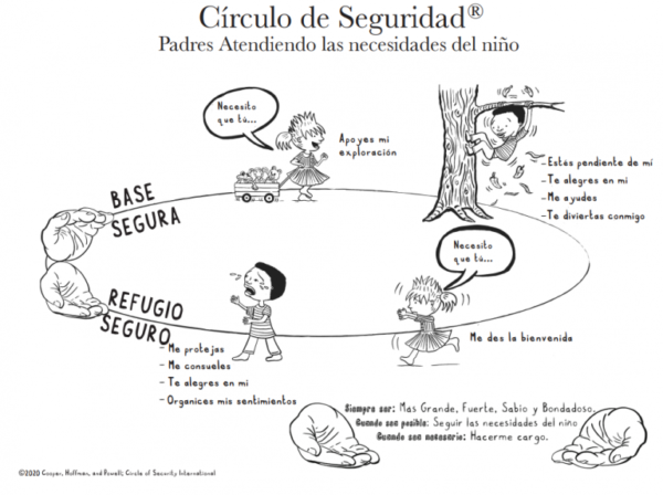 El círculo de seguridad parental en el acogimiento familiar - AFAAR